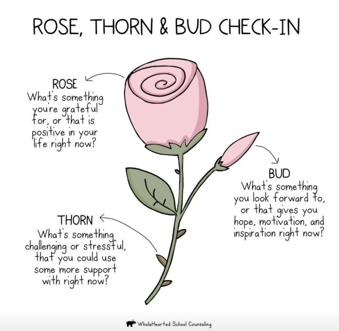 The Rose, Thorn & Bud Check-In – Kenrick Vaz